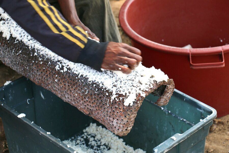 Congo : le manioc à la croisée des chemins | World Food Programme