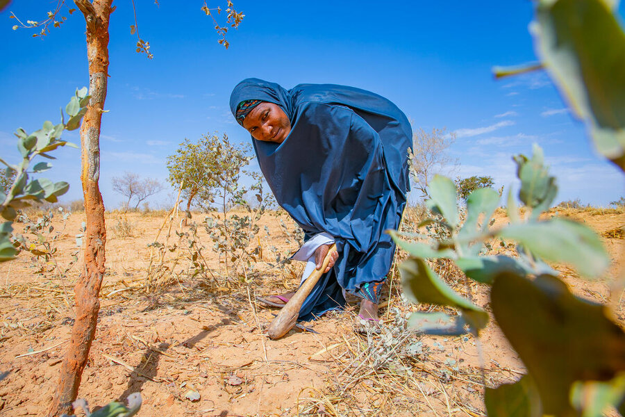 La faim et la malnutrition augmentent en Afrique de l’Ouest et du ...