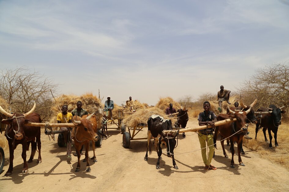 Quand la résilience met fin à la migration au Sahel | World Food Programme